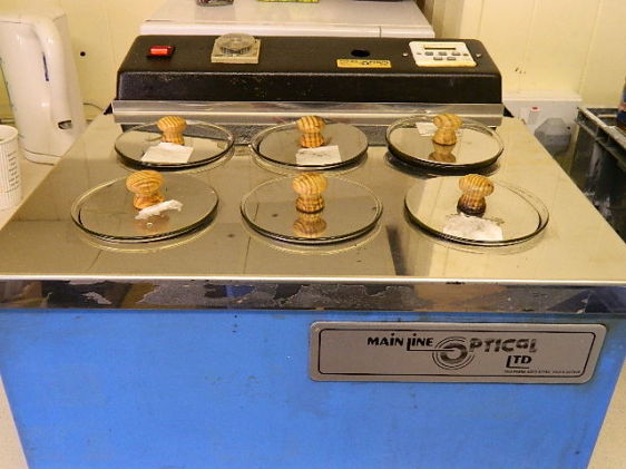 6 Pot Tinting Unit / Tint Bath | Used Tint Baths | Lab Equipment | Used ...